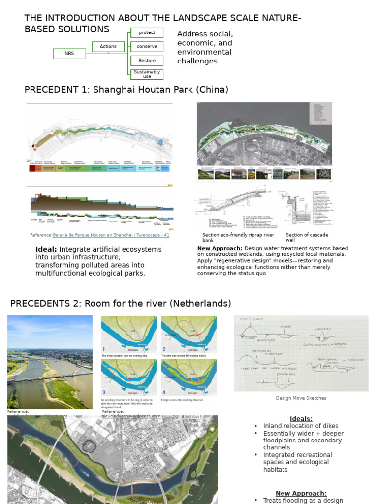 Landscape-Scale Nature-Based Solutions | PDF | Ecology | Landscape