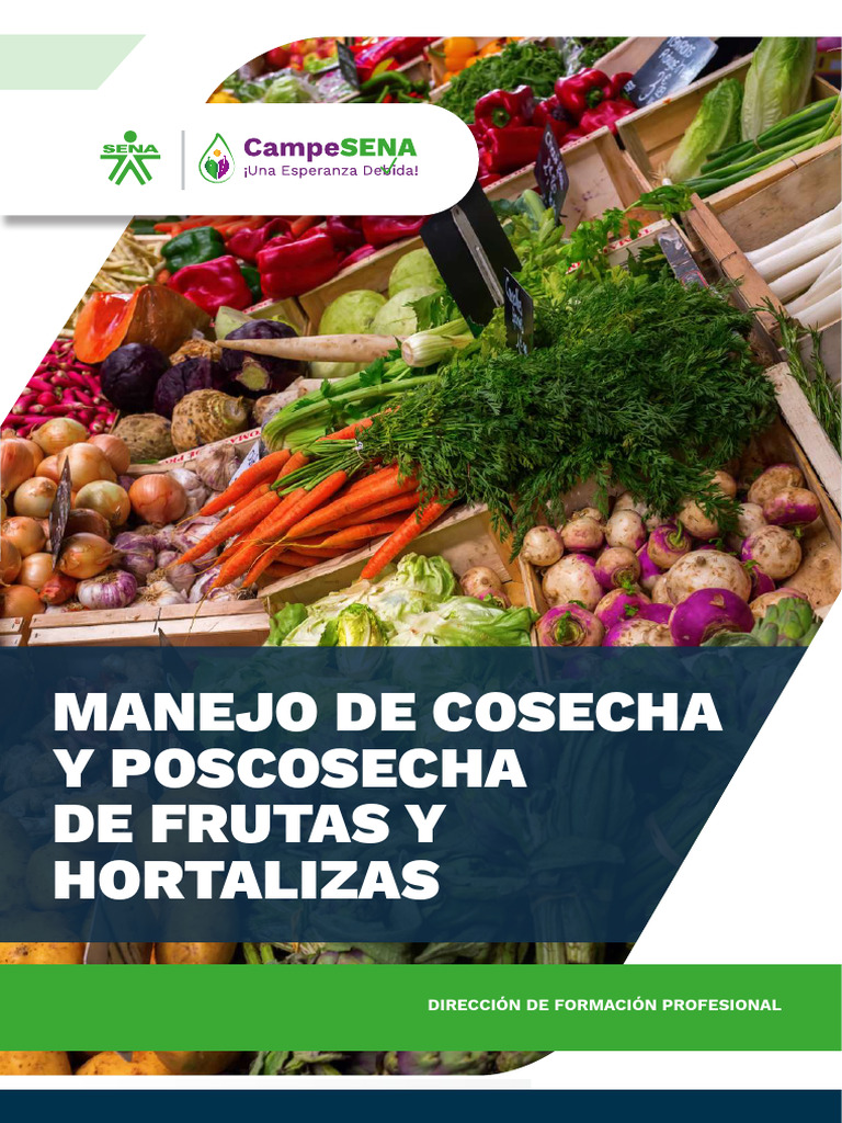 Manejo de Cosecha y Poscosecha de Frutas y Hortalizas - Digital | PDF | Fibra dietética | Dieta ...