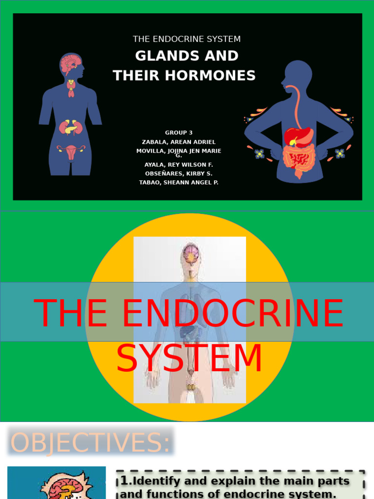 Endocrine System Ayala (1) | PDF | Endocrine System | Hormone