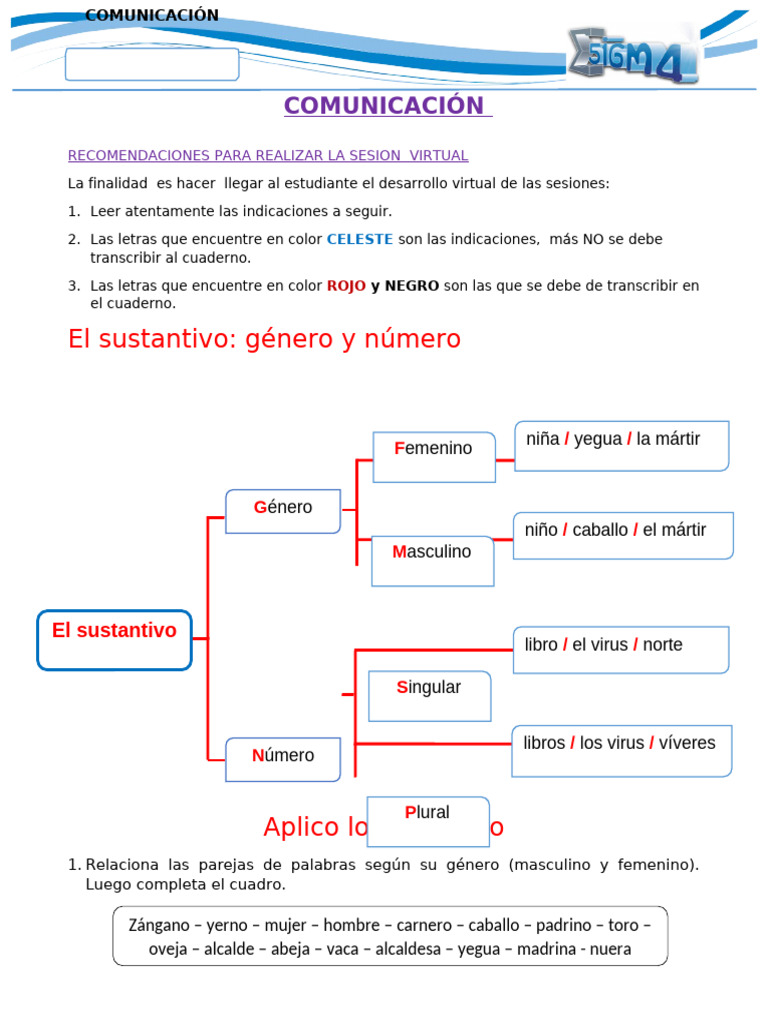 Ejercicios de Singular y Plural para Niños | PDF | Sustantivo | Lingüística