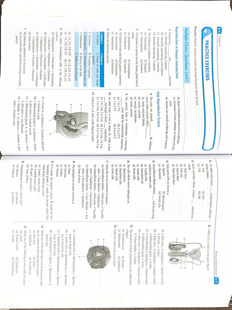 Sexual Reproduction Pearson Pt1 | PDF