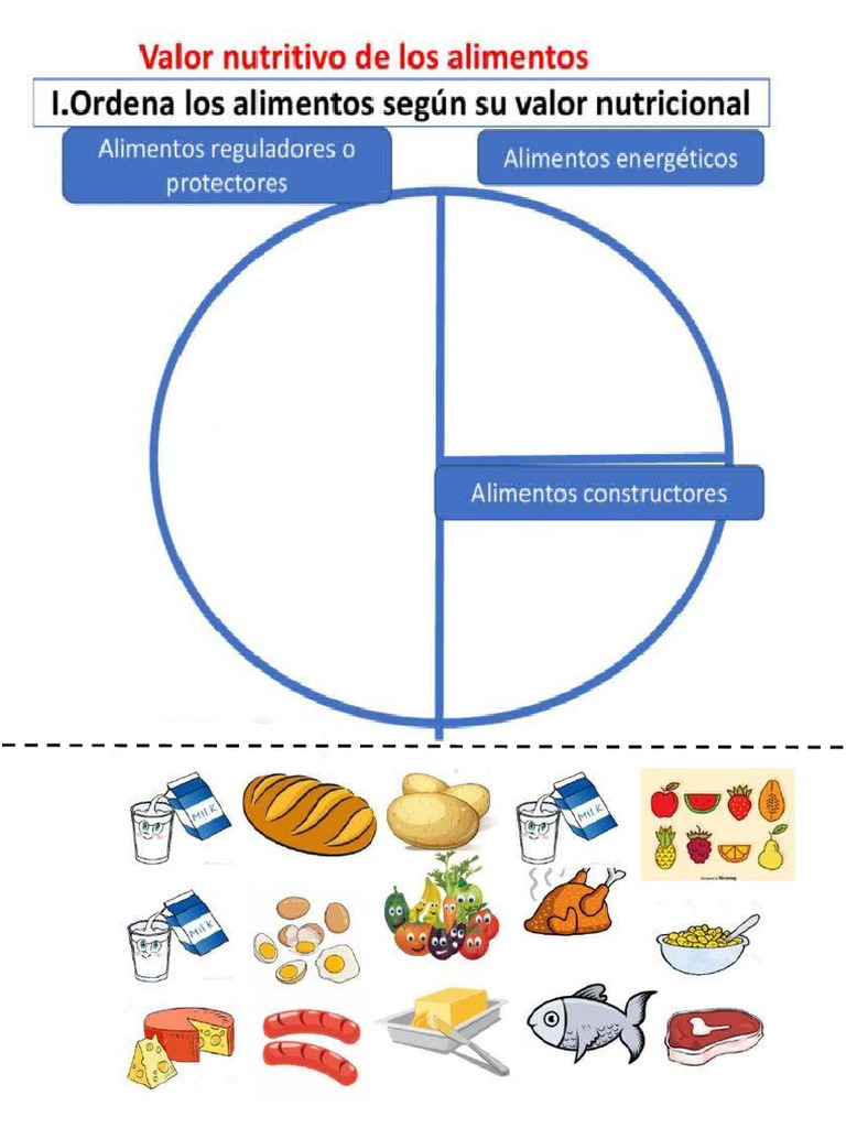 Alimentos Segun Su Función | PDF