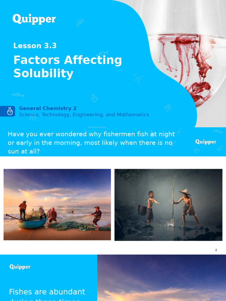 Factors Influencing Solubility Explained | PDF | Solubility | Solvation