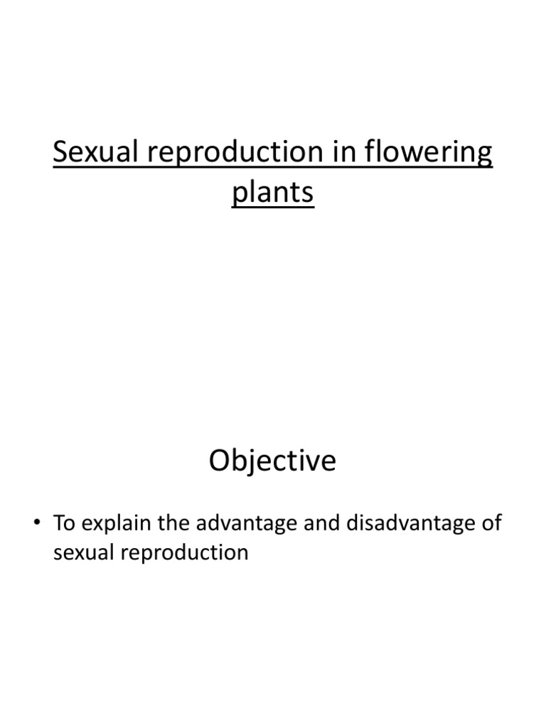 Sexual Reproduction in Flowering Plants | PDF | Flowers | Pollination