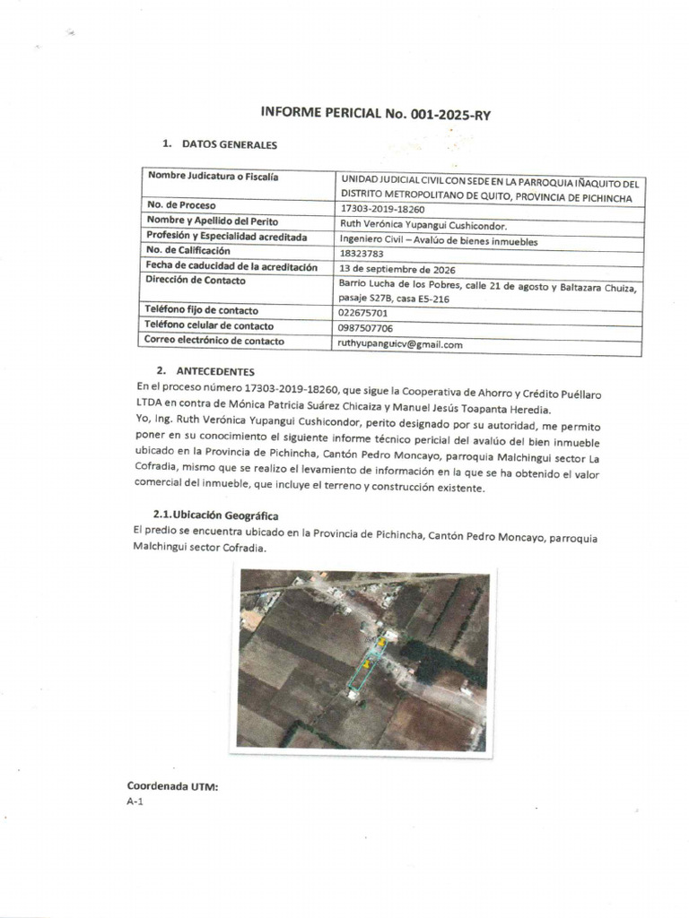 Informe Pericial Proceso 17230201918260 Escaneado | PDF