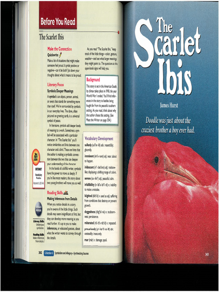 Scarlet Ibis | PDF