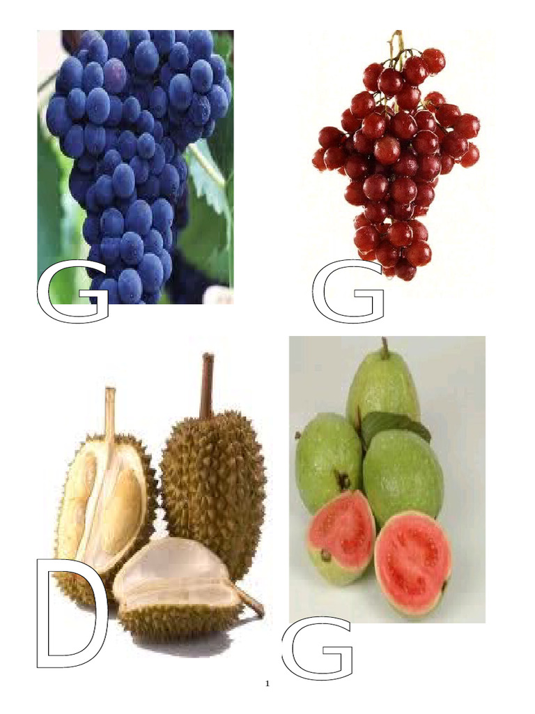 Buah Buahan | PDF