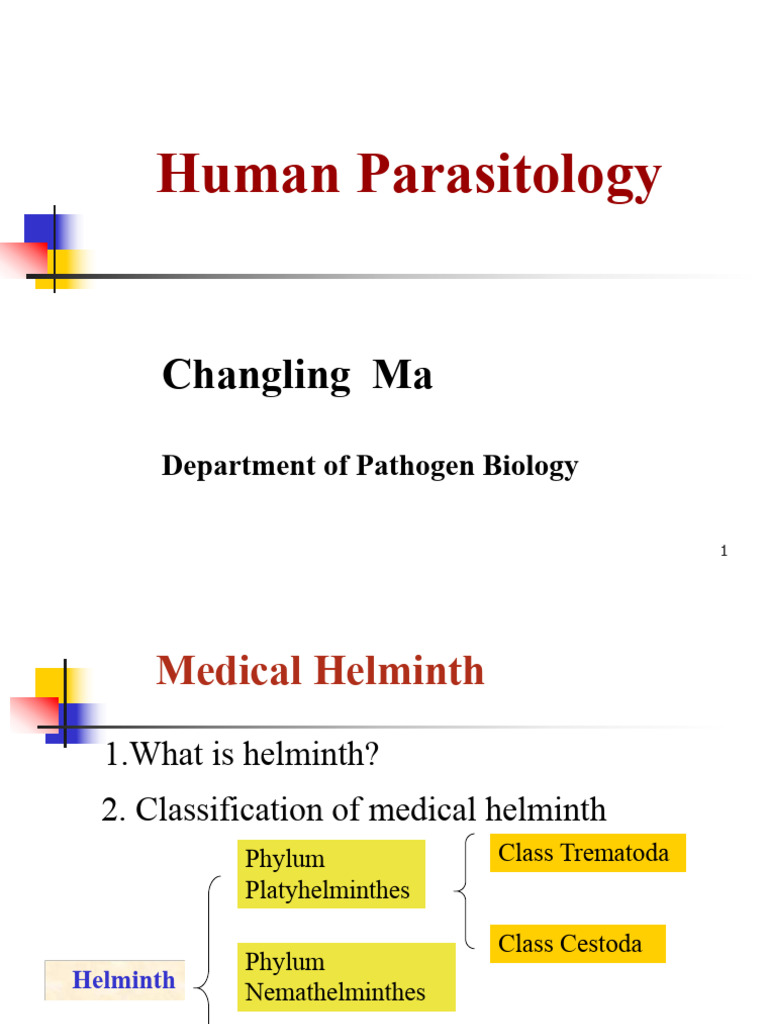 Human Parasitology: Helminth Classification | PDF | Diseases And ...