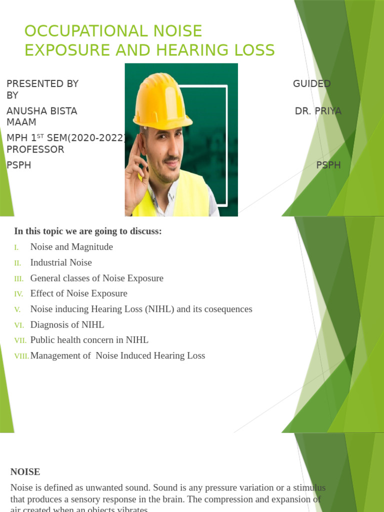 Occupational Noise and Hearing Loss Risks | PDF | Hearing Loss | Noise