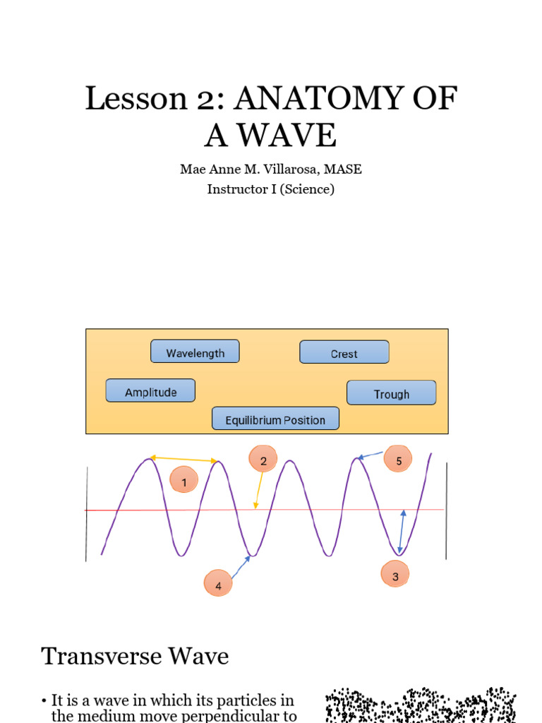 Lesson 2 Anatomy of The Wave | PDF | Waves | Frequency