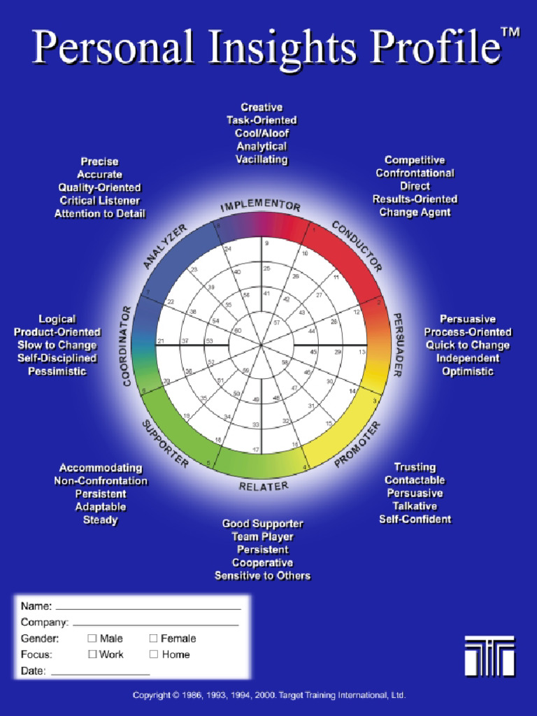 Success Insights Wheel Overview | PDF | Fear | Friendship
