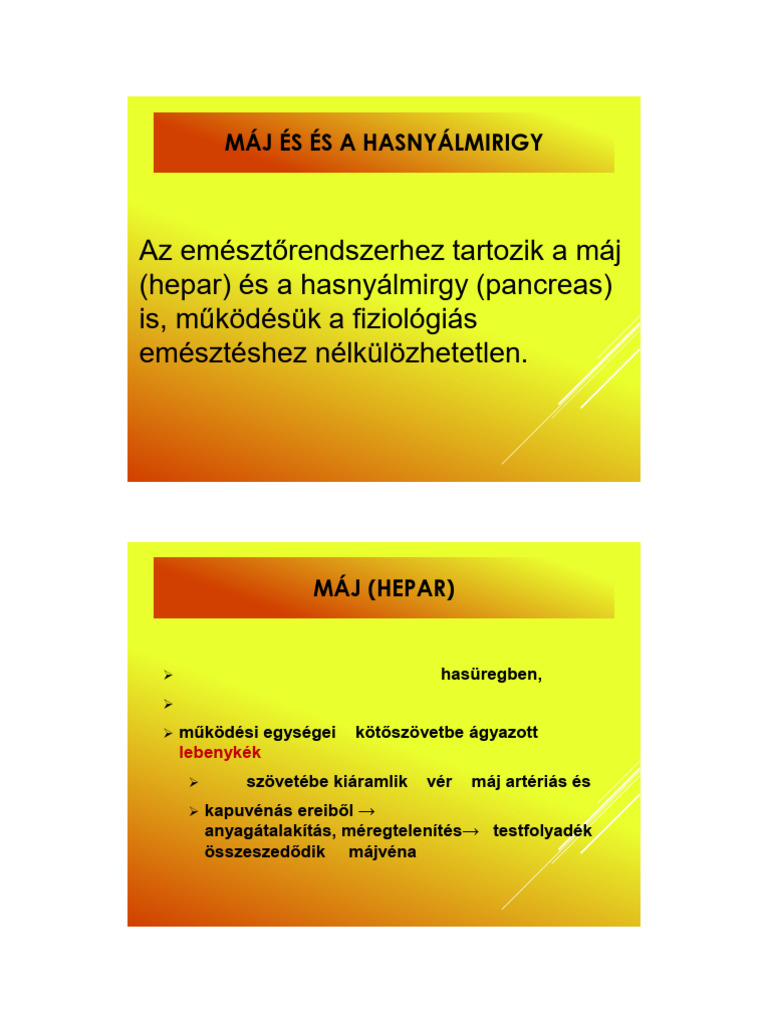 Anatómia Hasnyálmirigy És A Máj Működése PDF | PDF