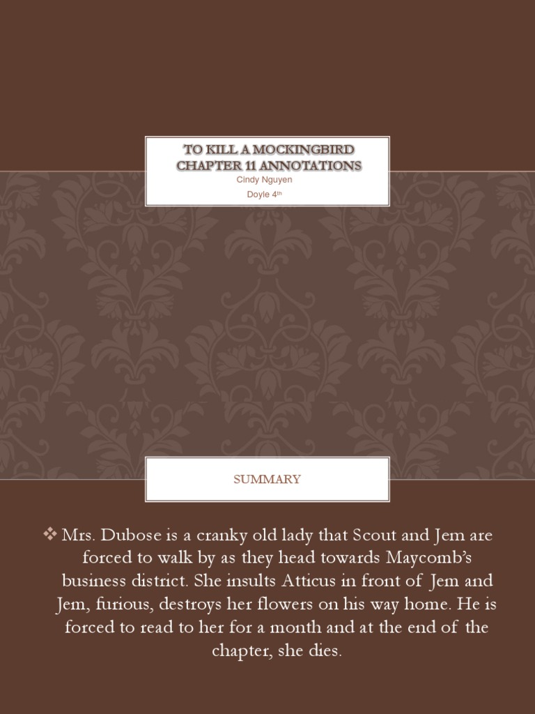 To Kill A Mockingbird Chapter 11 Annotations: Cindy Nguyen Doyle 4 | PDF