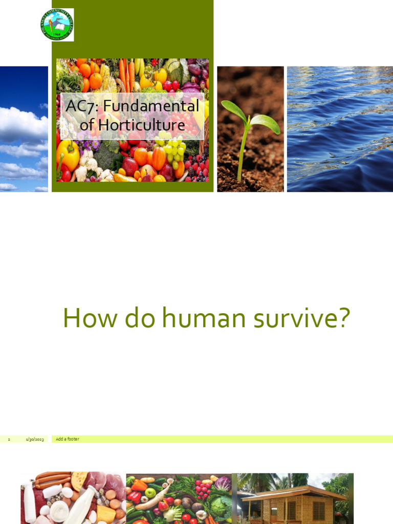 L1 - Intro To Horticulture | PDF | Vegetables | Horticulture