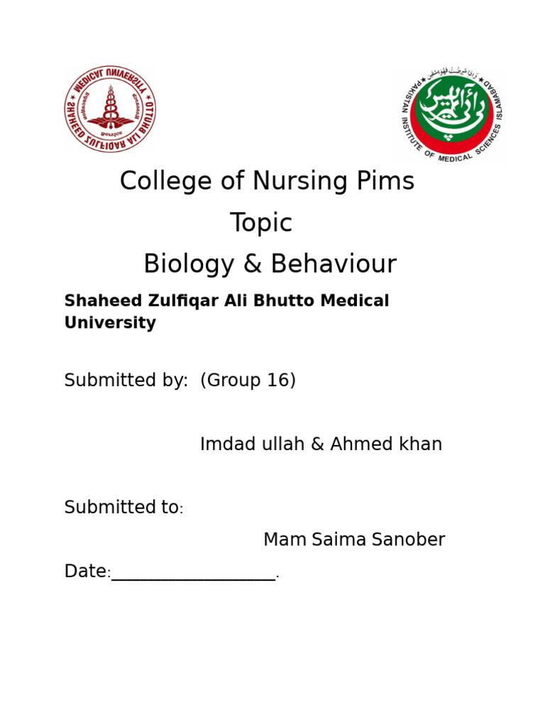 Group 16 | PDF