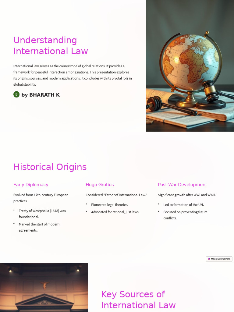 Understanding International Law | PDF | International Law | Human Rights