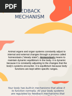 Homeostasis Notes Grade 12 | PDF | Homeostasis | Kidney