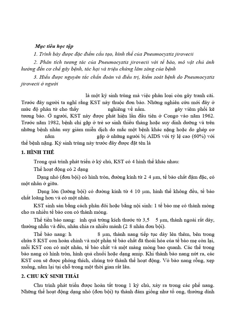 Y Pneumo | PDF