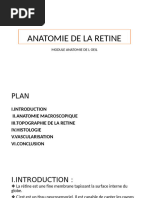 Anatomie du Corps Géniculé Latéral | PDF | Système visuel | Vision