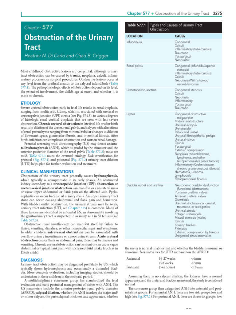 Obstruction of Urinary Tract | PDF | Diseases And Disorders ...