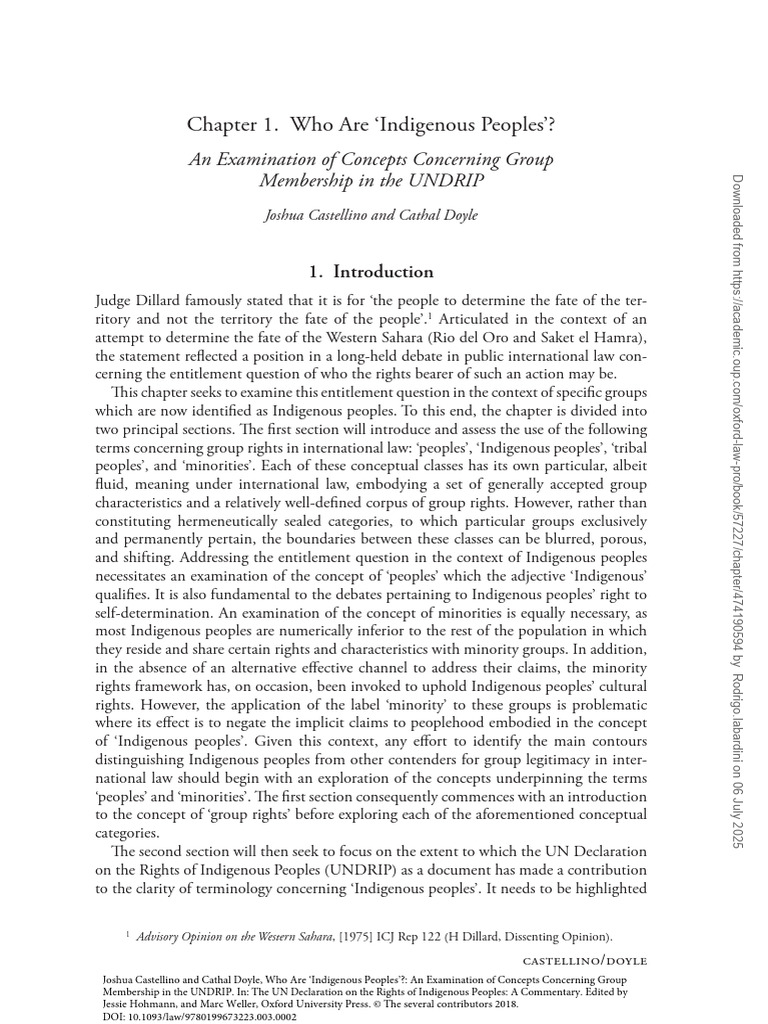 Understanding Indigenous Peoples in UNDRIP | PDF | International Labour ...