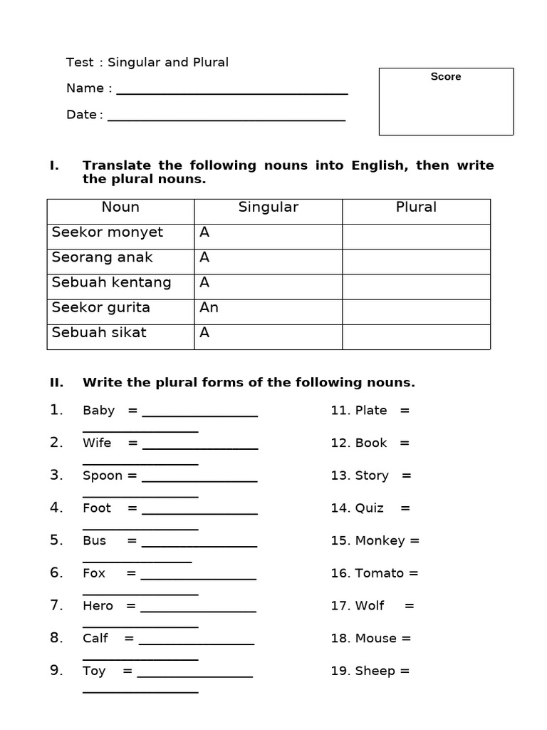 Singular and Plural Nouns Test | PDF