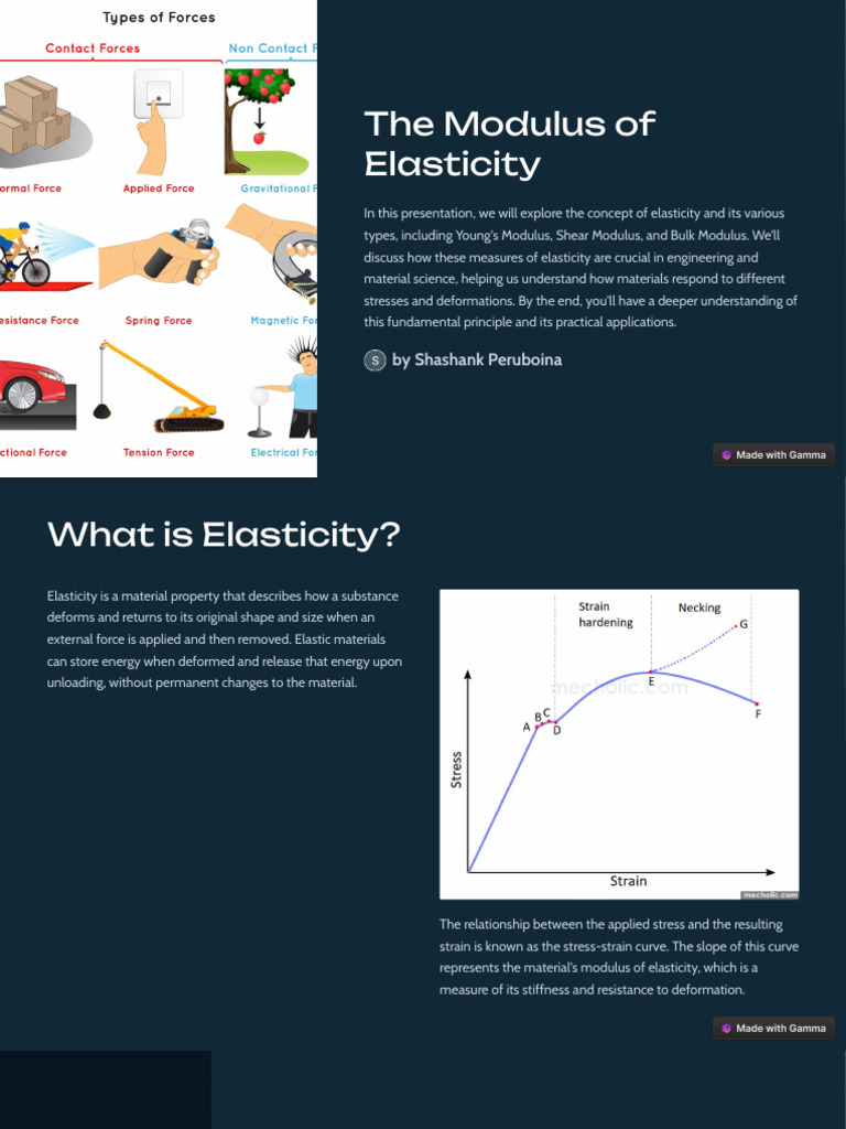 The Modulus of Elasticity | PDF | Young's Modulus | Elasticity (Physics)