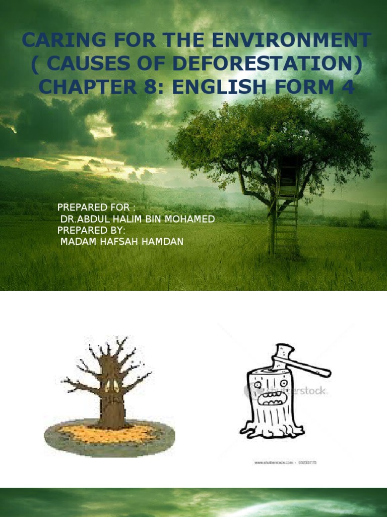 Caring For The Environment (Causes of Deforestation) Chapter 8: English ...