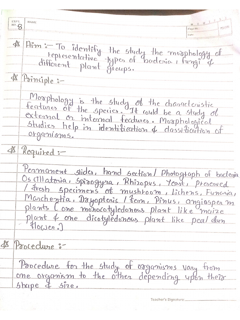 Experiment 2 Biology | PDF