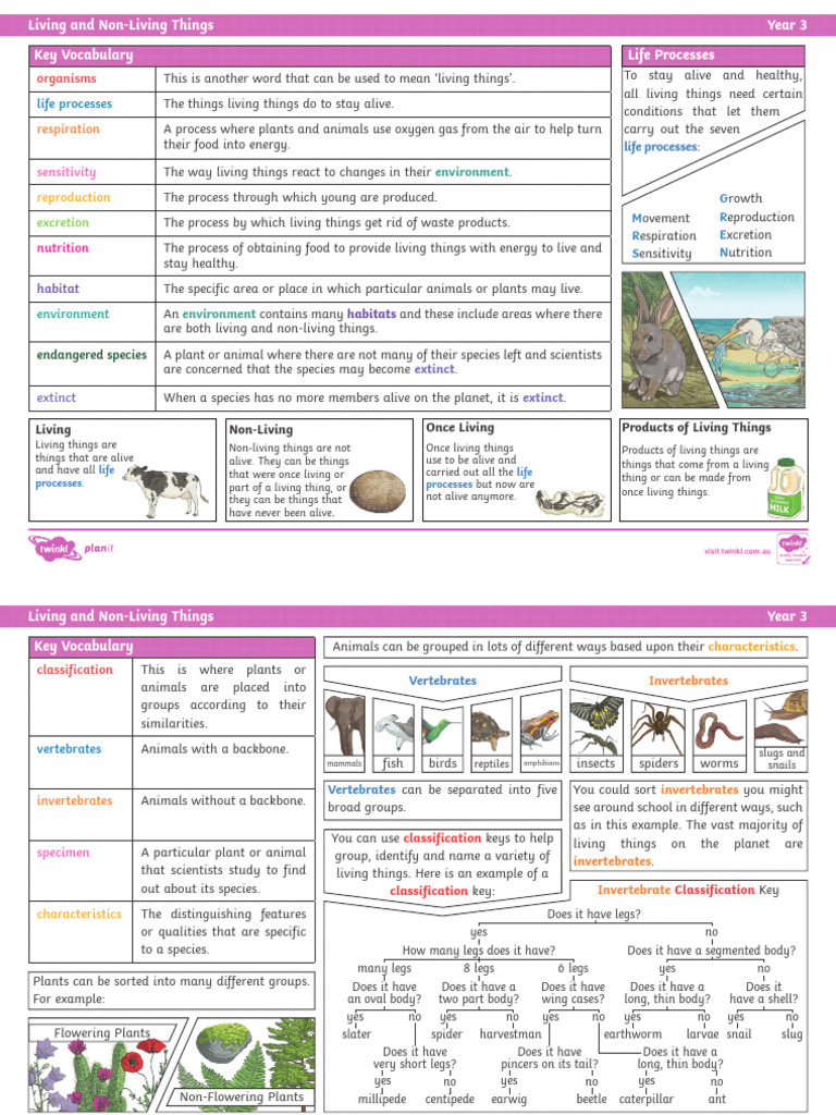 Understanding Living vs Non-Living Things | PDF | Invertebrate | Life