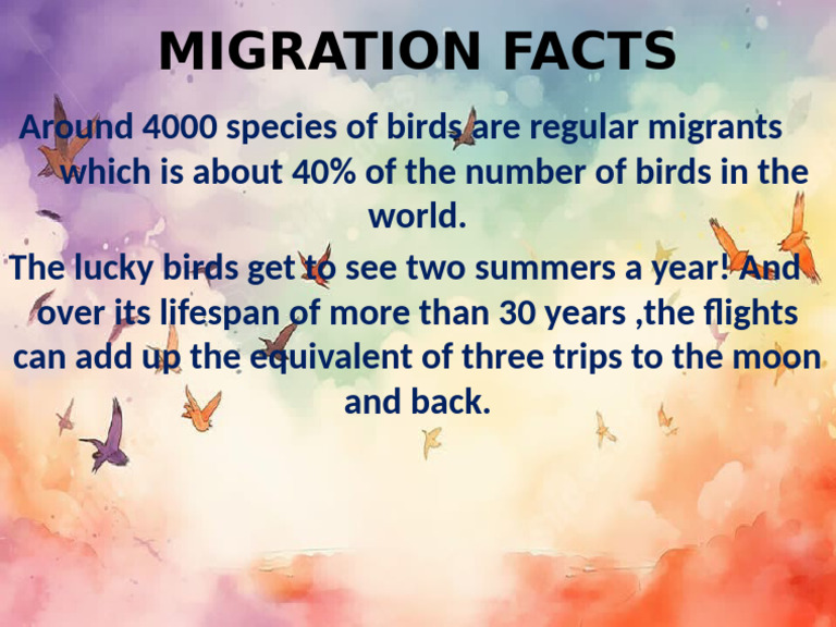Migration Facts | PDF