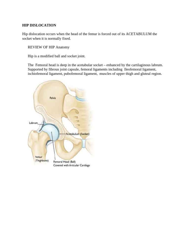 Hip Dislocation Notes | PDF | Hip | Anatomical Terms Of Motion