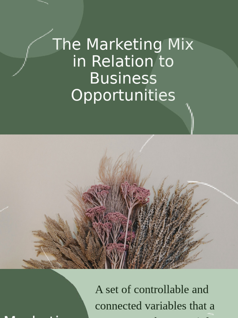 Marketing Mix and Business Opportunities | PDF