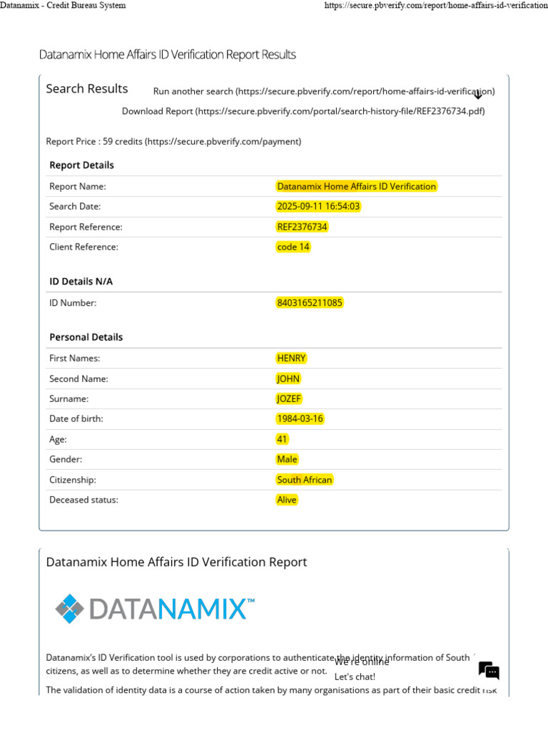 Datanamix - Credit Bureau System | PDF