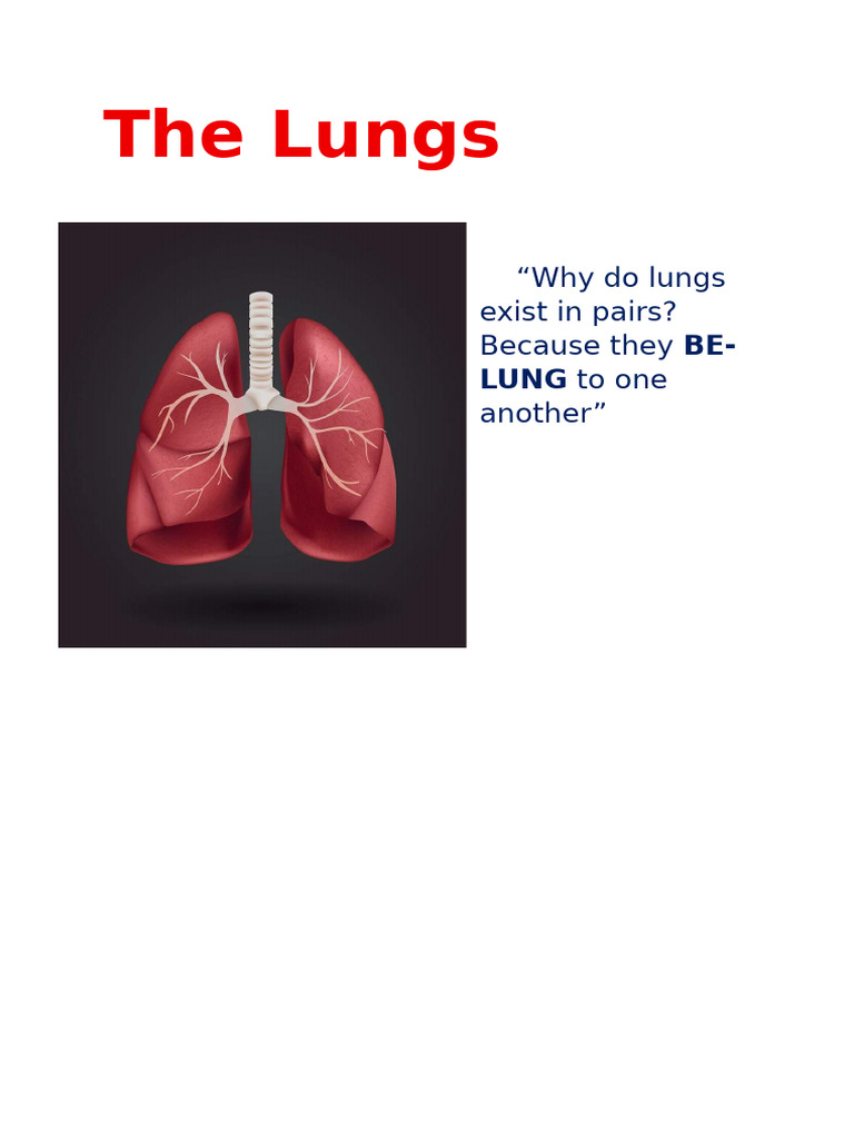 The Lungs | PDF