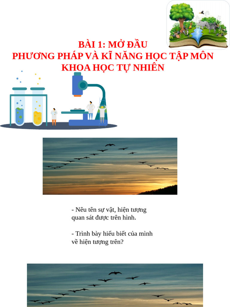 CTST Bai 1 Phuong Phap Va Ki Nang Hoc Tap Mon Khoa Hoc Tu Nhien | PDF