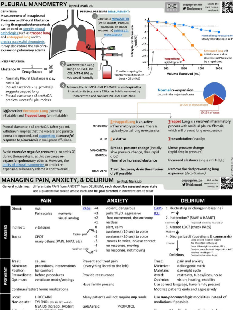 One Pager ICU | PDF