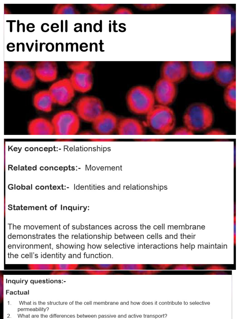 Cell Membrane Transport Mechanisms | PDF | Osmosis | Cell Membrane