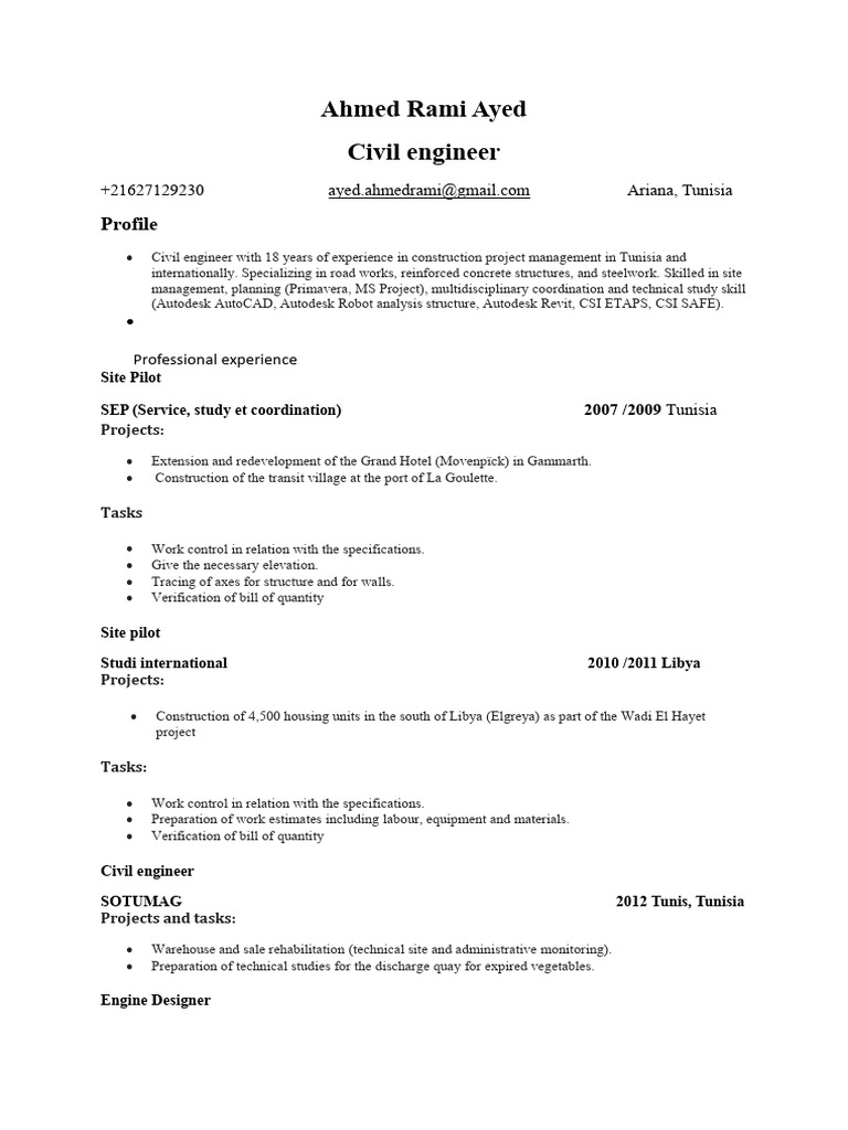 Experienced Civil Engineer Profile | PDF | Engineering