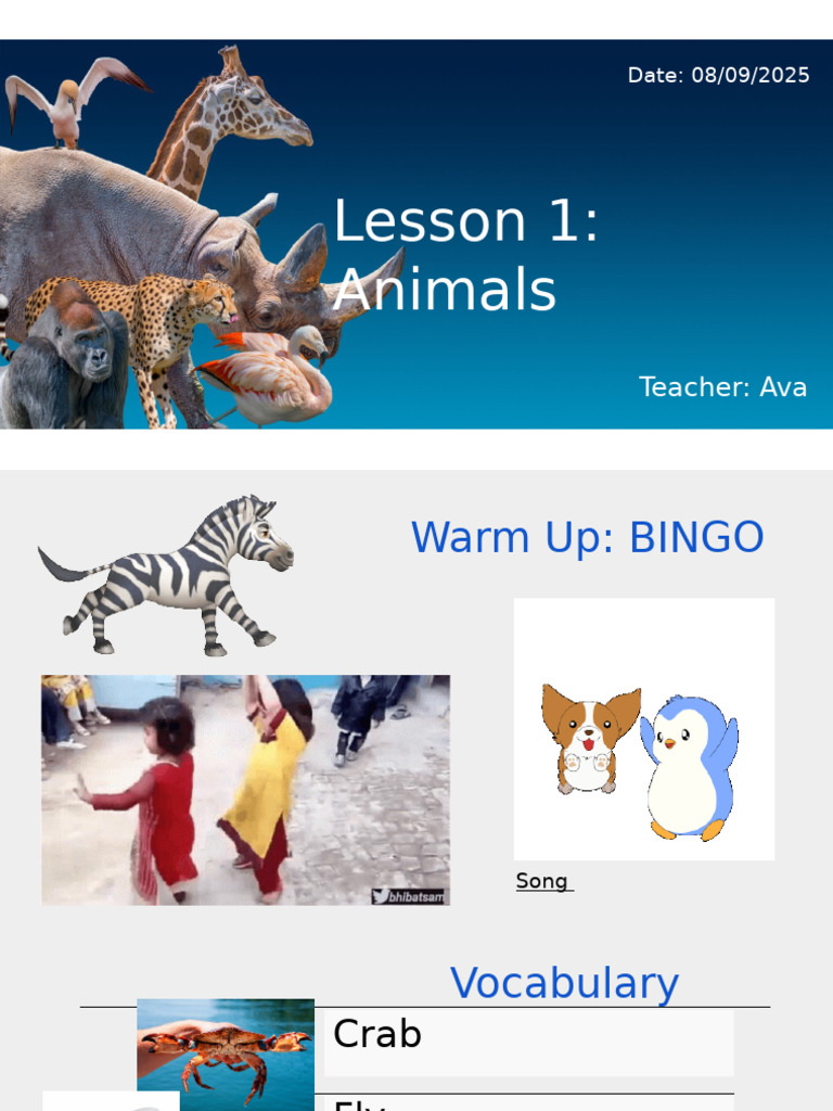 Animals Vocabulary Lesson Plan | PDF