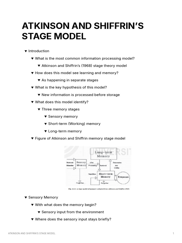 Atkinson-Shiffrin Memory Model Stages | PDF | Memory | Long Term Memory