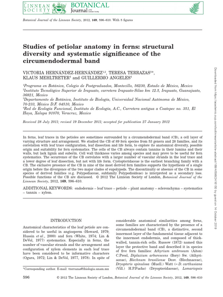 Fern Petiole Anatomy and Circumendodermal Band | PDF | Leaf | Fern