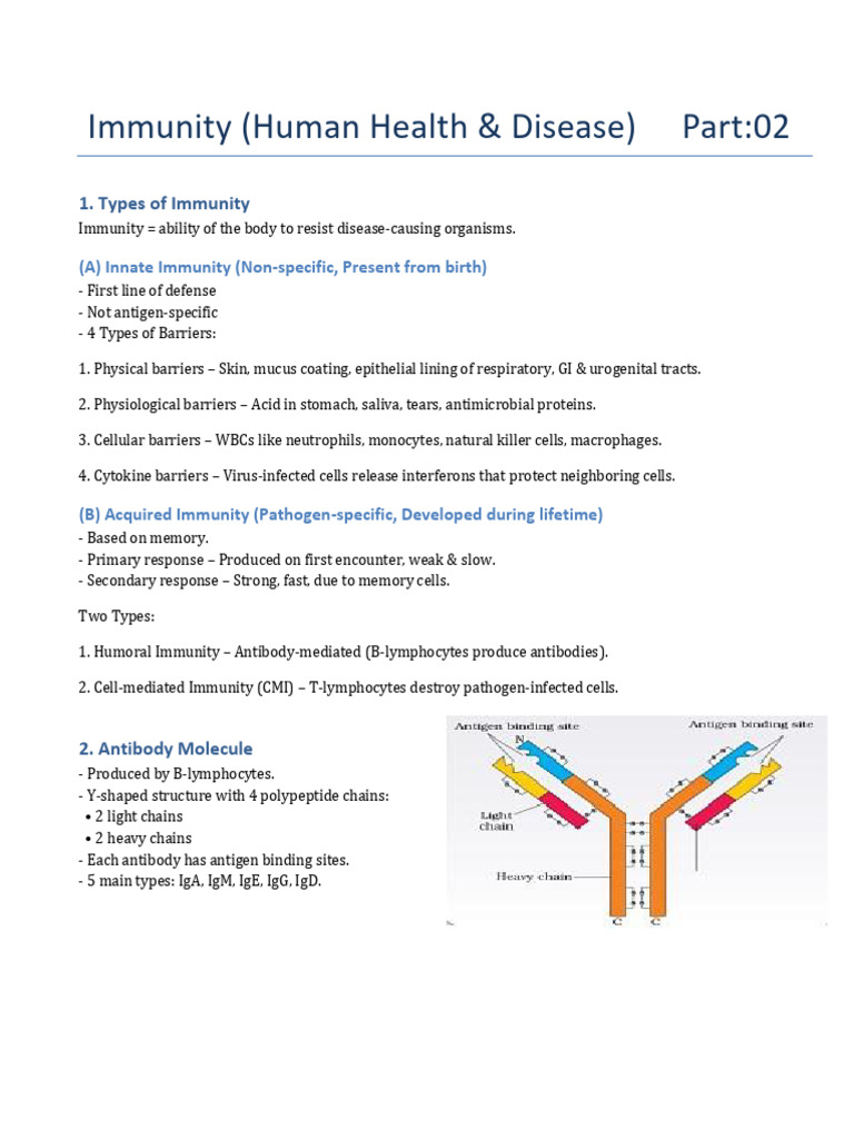 Understanding Types of Immunity | PDF | Immune System | Lymphocyte