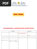 Schéma de l'appareil génital féminin | PDF | Utérus | Ovaire