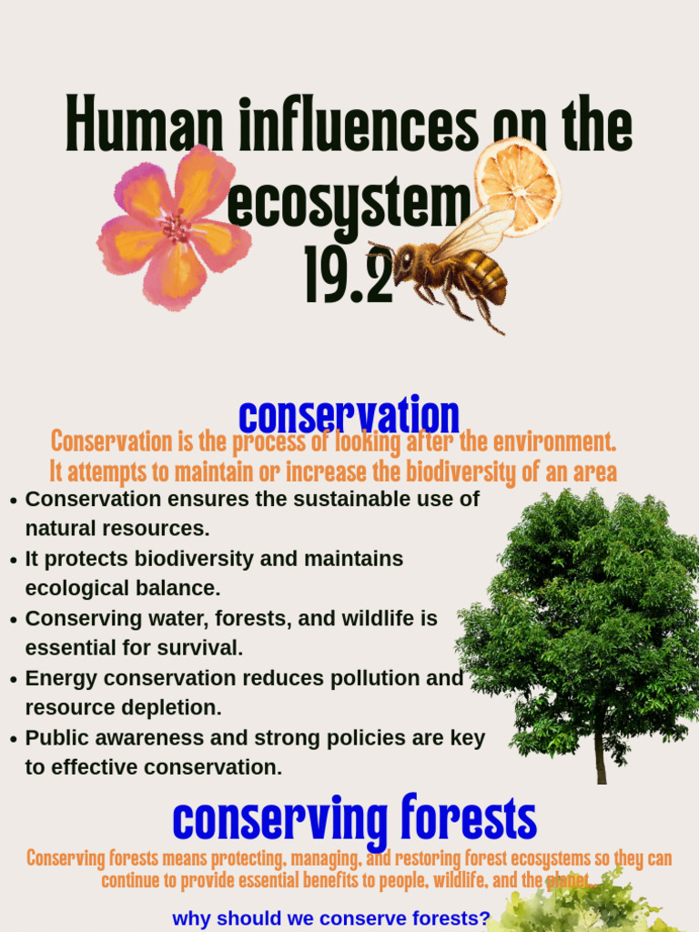 Biology Human Influences On The Ecosystem 19.2 | PDF | Conservation ...
