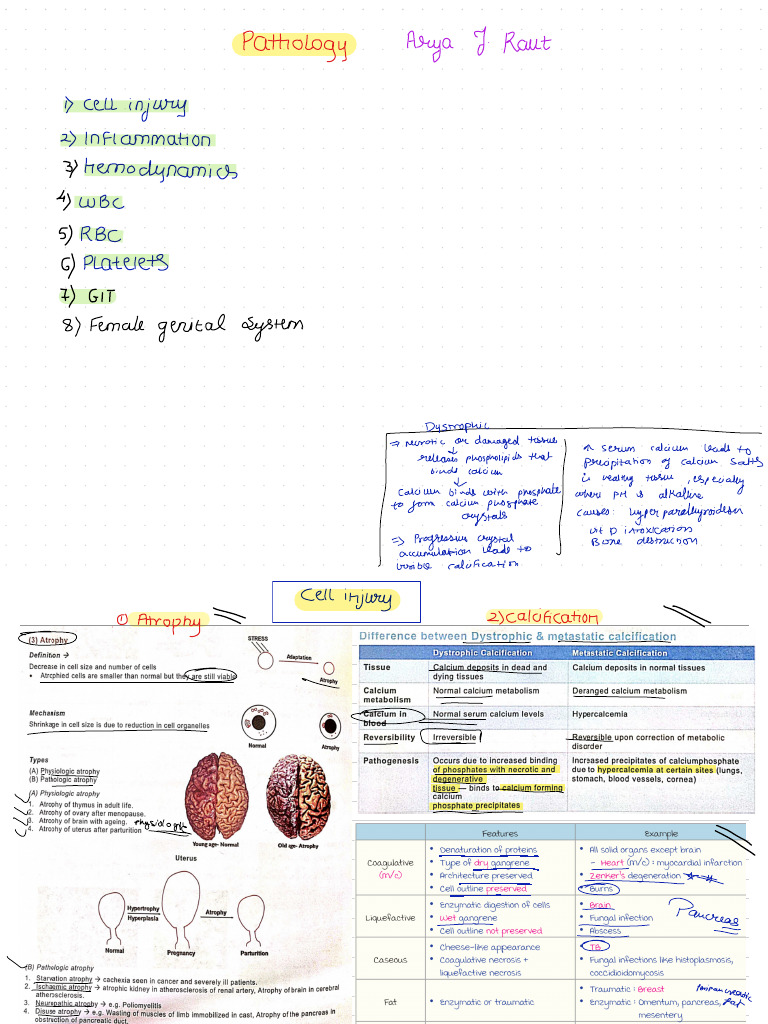 Systemic Pathology | PDF