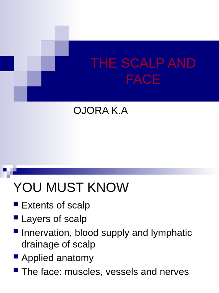 Scalp and Face Anatomy Overview | PDF | Vein | Human Anatomy