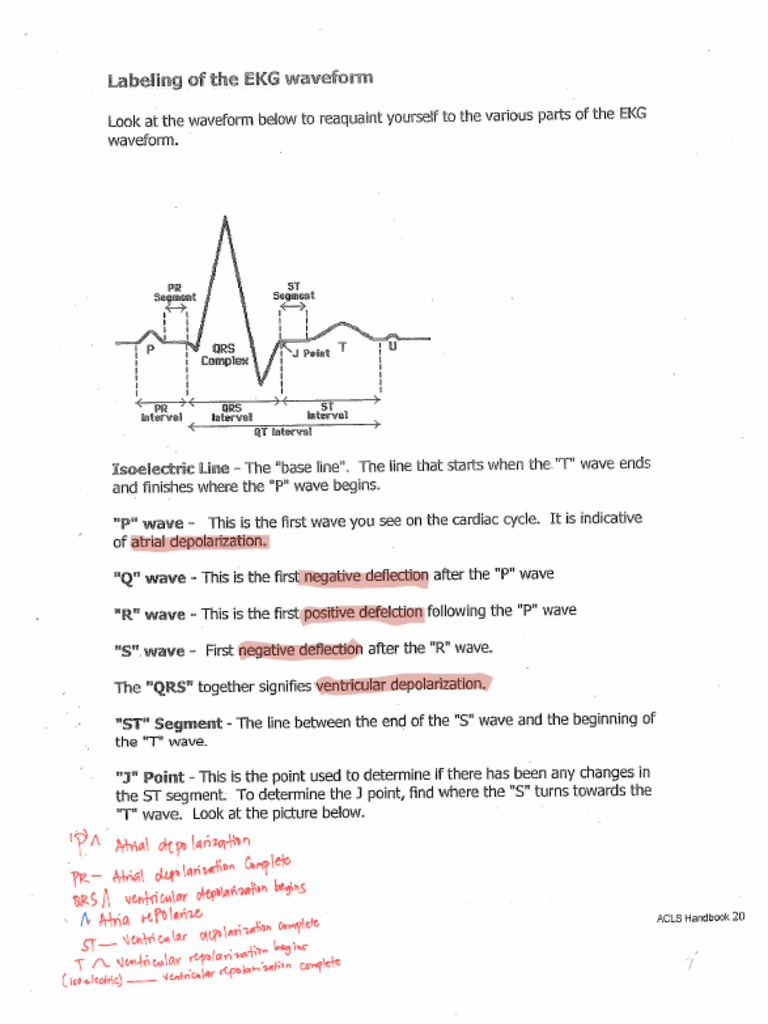 ECG Notes | PDF