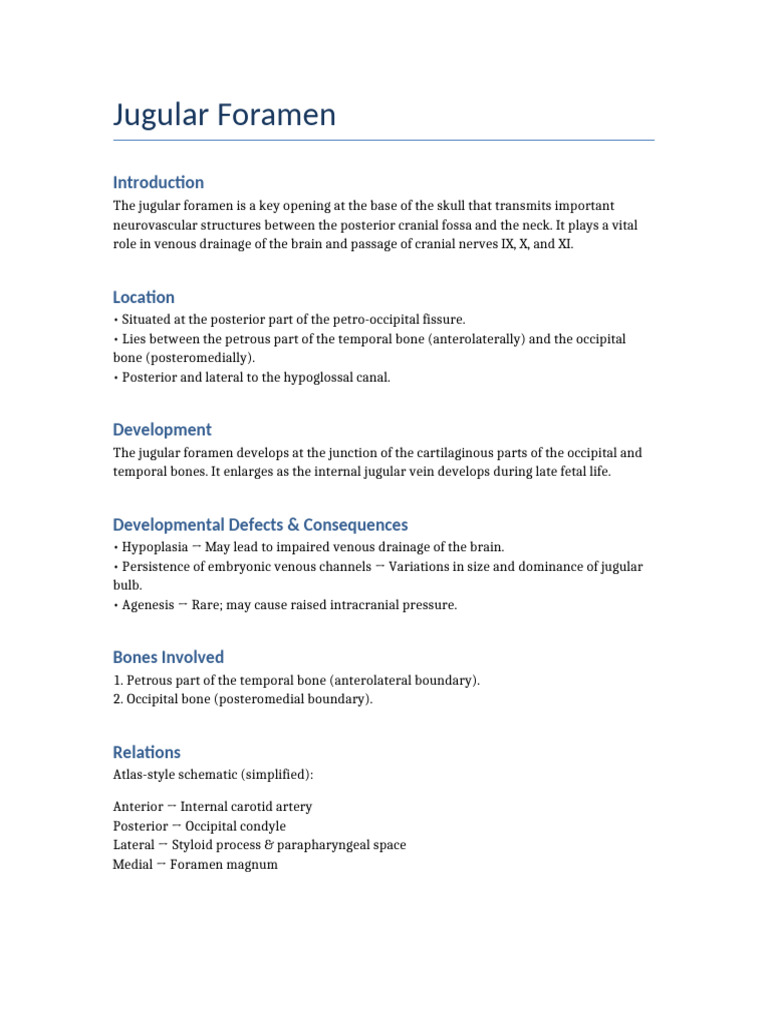 Anatomy and Function of Jugular Foramen | PDF | Skull | Human Anatomy