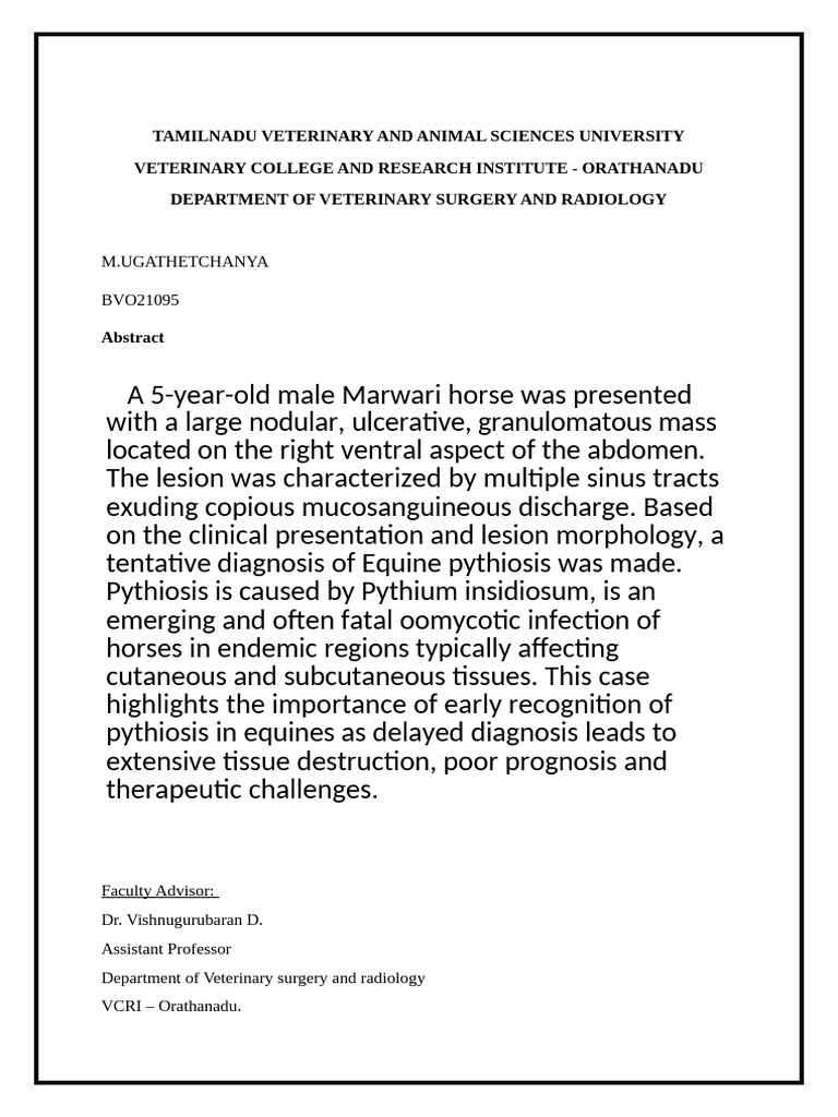Pythiosis | PDF
